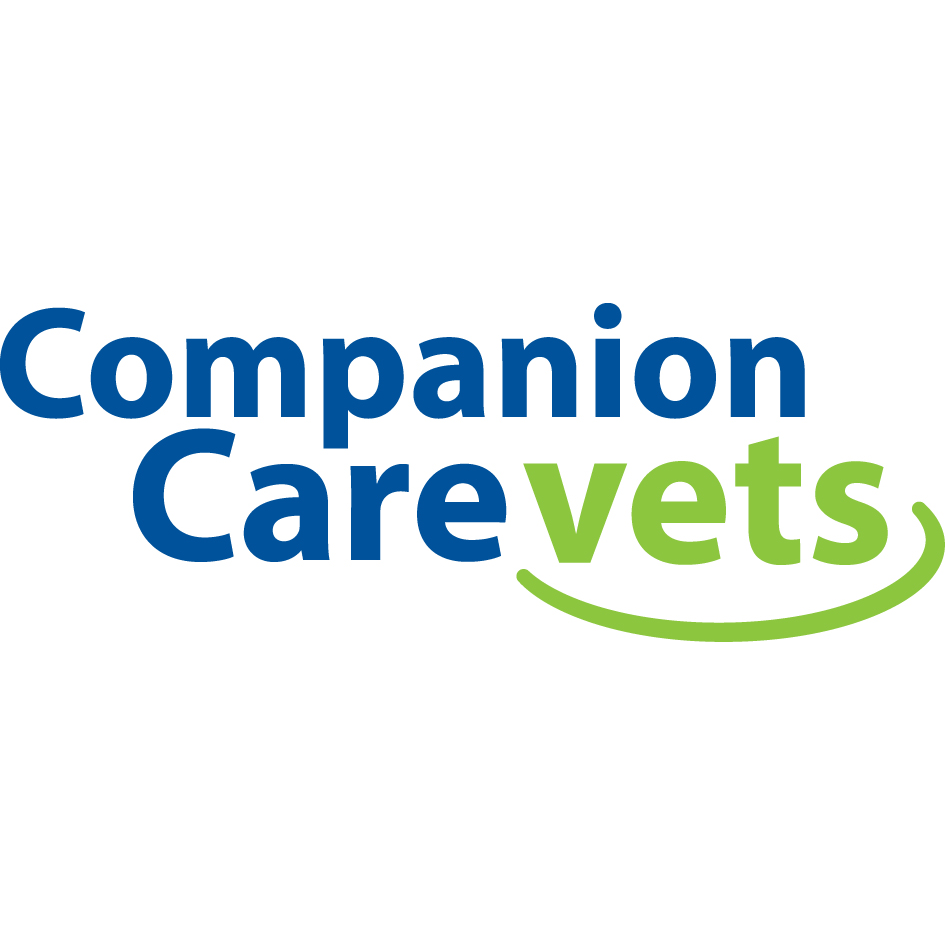 Find A Veterinary Practice | Vets Near Me | Companion Care